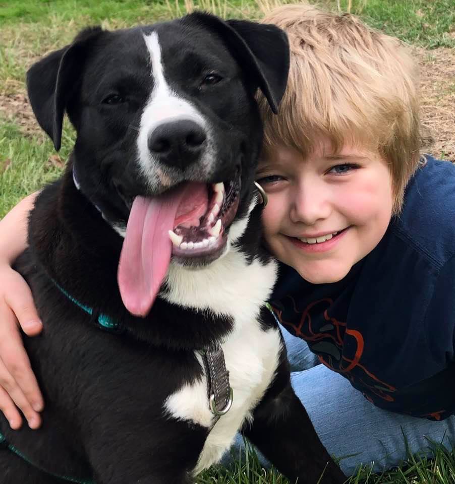 writing – Mike Jackman, Words & Music